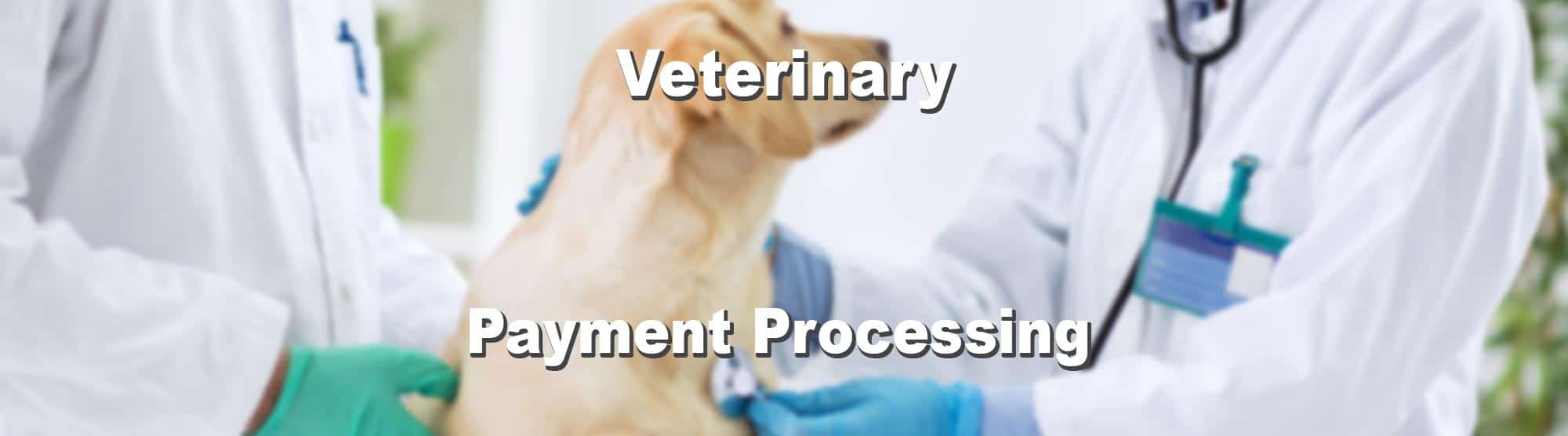 Payment processing for veterinary offices - Host Merchant Services