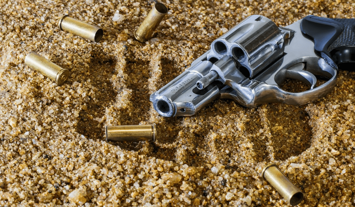 Firearm Safety Certificate - A Complete Guide for all