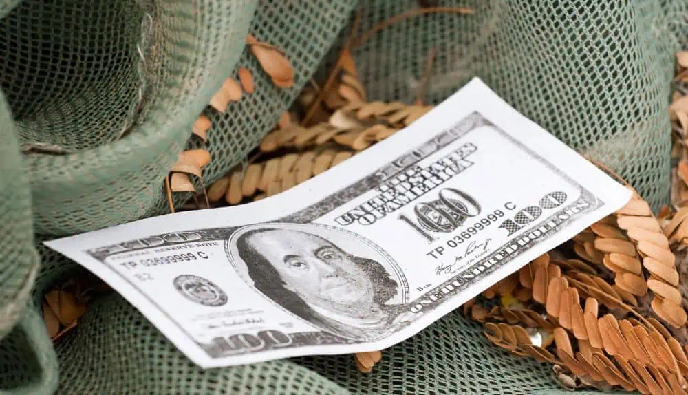 Counterfeit Money vs Real Money - 10 Best Ways You Can Spot The Difference