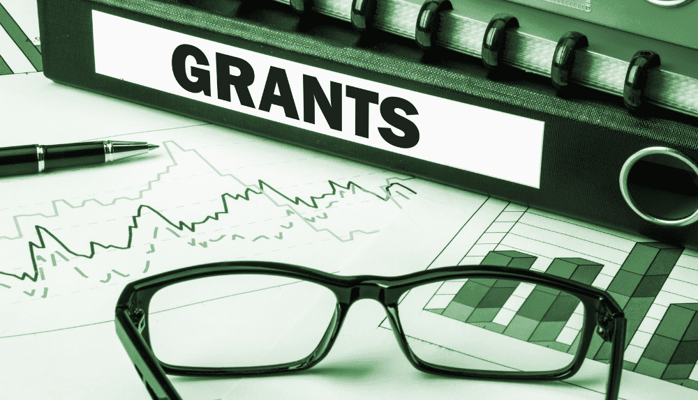 10 Minority Small Business Grants You Should Apply For in 2023 - Host ...