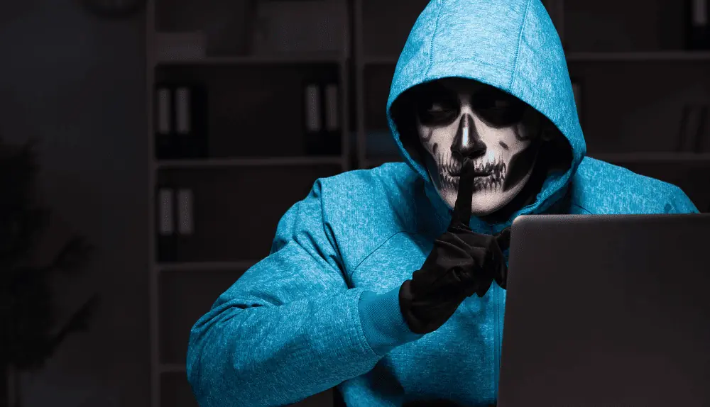 Increases in Online Payment Fraud in 2023 Drives Focus on Data Security ...