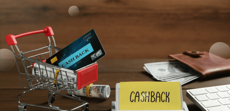 Best Cash Back Credit Cards of 2023 - The Top 10 Reviewed