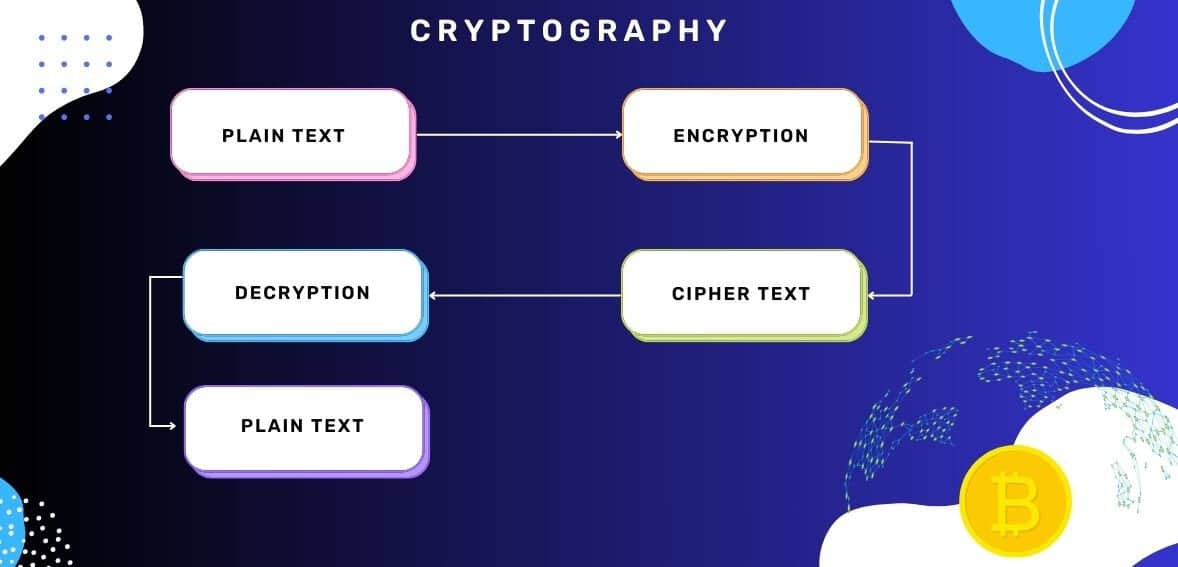 Most Popular Cryptocurrencies to Watch in 2024 – Host Merchant Services ...